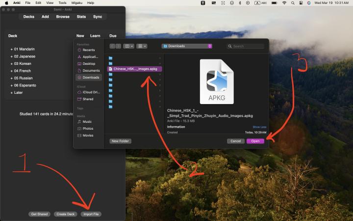 6 Anki Decks That Will Actually Help You Learn Chinese | Best Mandarin Chinese Anki Decks