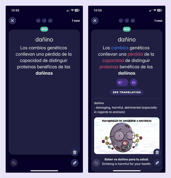 6 Anki Decks That Will Actually Help You Learn Spanish | Best Spanish ...