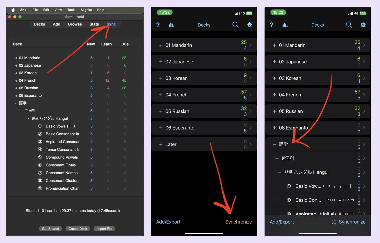7 Anki Decks that Will Actually Help You learn Korean | Best Korean ...